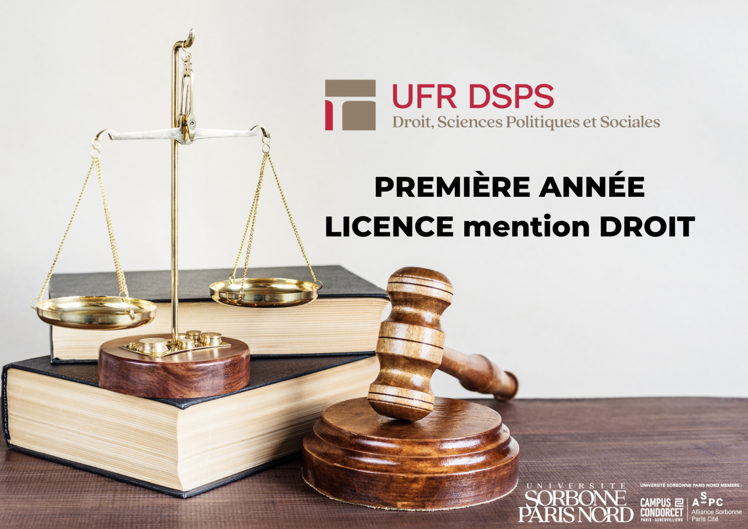 Licence droit savoirs théoriques en droit problématique juridique